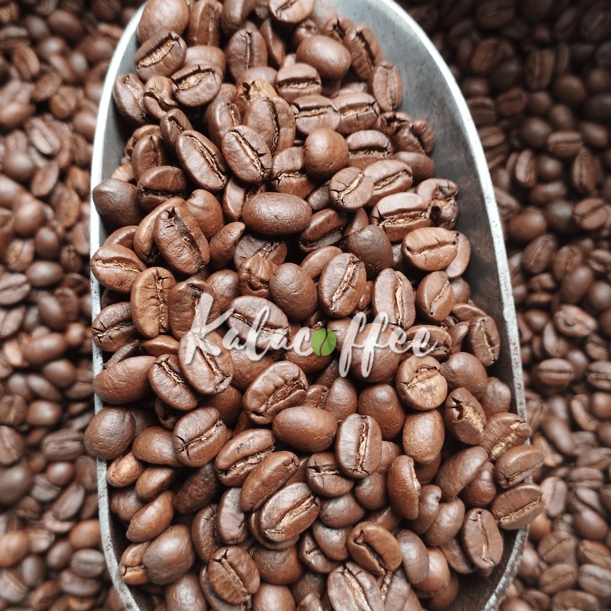 Cà Phê Moka Cầu Đất 100% Kalacoffee - Gói 500g - Kala Coffee